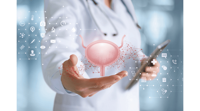 Understanding the Causes and Risk Factors of Interstitial Cystitis/Bla